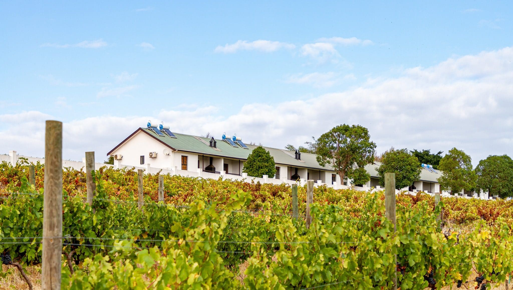 Cottages | D'Aria Winery